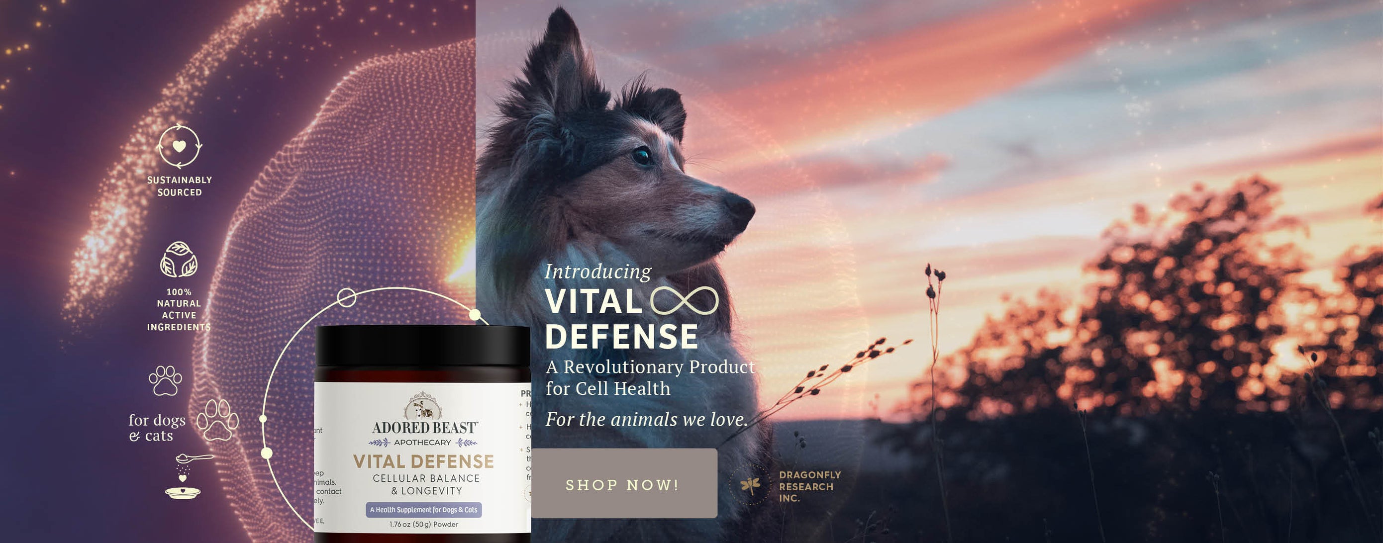 Adored Beast Apothecary | Holistic Animal Healthcare Products